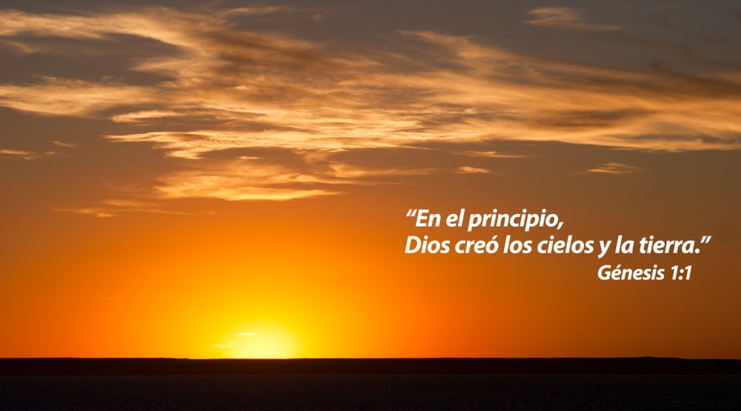 Génesis 1: 20-23 – Día cinco: La creación de las aves y los peces | La ...