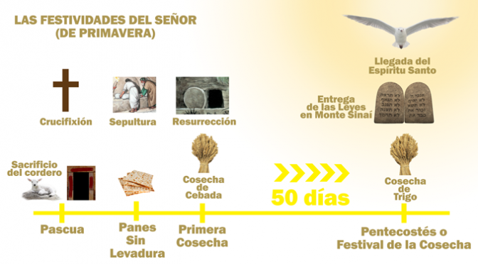 La Festividad De Pentecostés O De Semanas Shavuot Actualizada